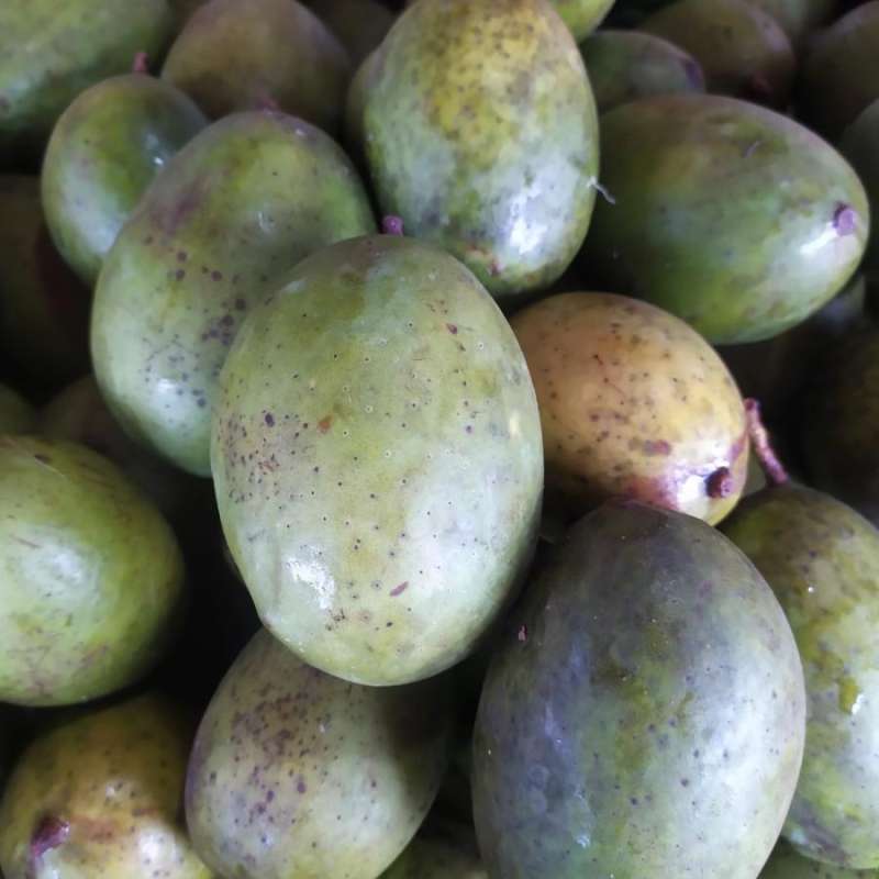 Jual MANGGA KWENI / MANGGA KEWENI 1kg di Seller KING OXTAIL - Kota ...