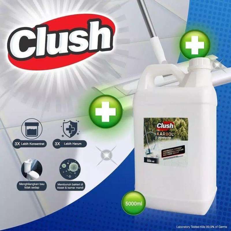 Segera Dapatkan Rumah Indah Bersih Sekarang Juga! 15 Rekomendasi Karbol ...