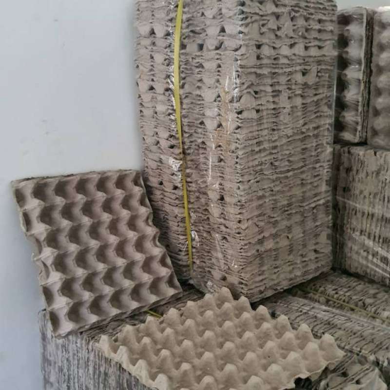 Jual Egg Tray Karton Tempat Wadah Telur 30 Lubang Ayam Bebek Di Seller ...