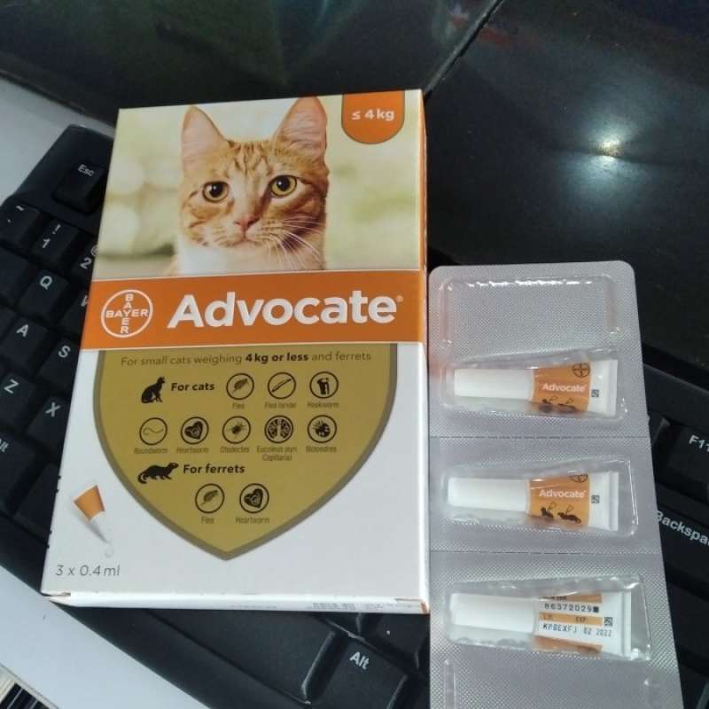 Promo ADVOCATE Obat Tetes Kutu Cat Kucing Up To 4kg Obat Tetes Kutu ... Promo ADVOCATE Obat Tetes Kutu Cat Kucing Up To 4kg Obat Tetes Kutu ...