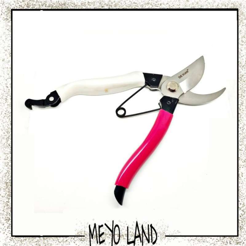 Jual Gunting Dahan Ranting Premium Bengkok Kebun Bonsai Stek Tanaman ...