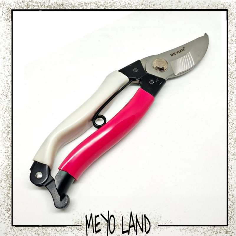 Jual Gunting Dahan Ranting Premium Bengkok Kebun Bonsai Stek Tanaman ...