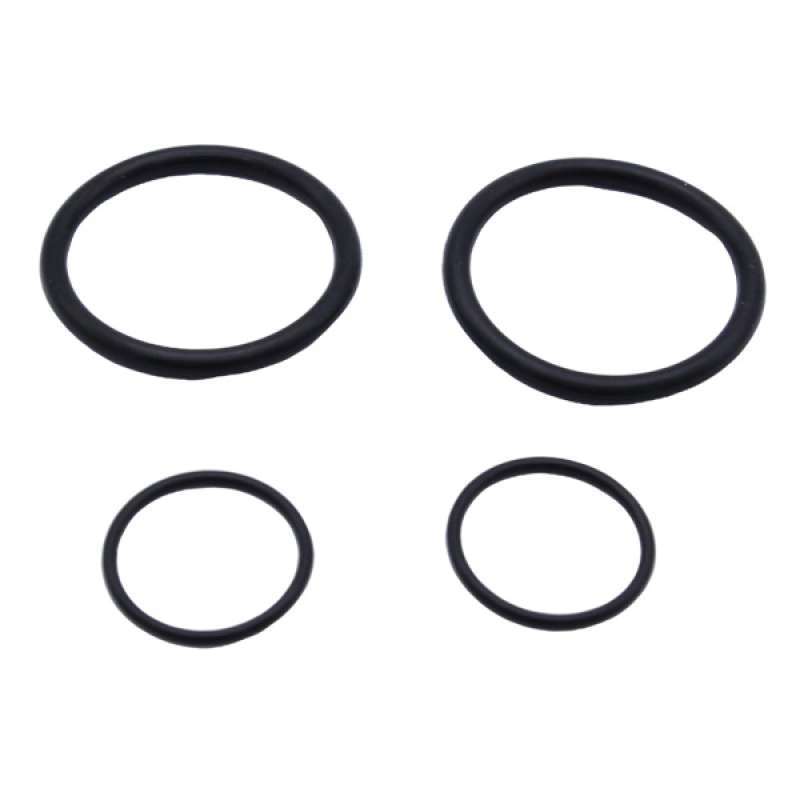 Jual Solenoid O Ring Seals Viton Replacement Kit Set For BMW Vanos N40 ...