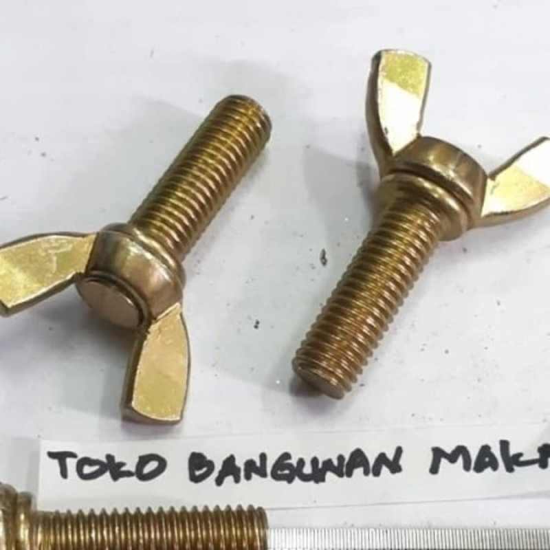 Jual Baru Wing Bolt M10x40 Baut Kupu-Kupu Baut Kuping Limited di Seller ...
