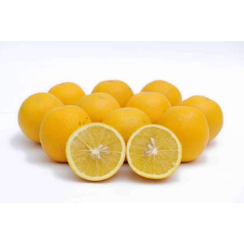 Jual Jeruk Baby Sunpride Terbaru - Harga Promo Maret 2024 | Blibli