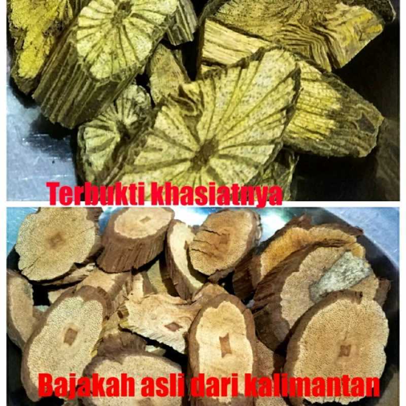 Promo Bajakah curah asli Kalimantan Diskon 23% di Seller Medika 23 ...