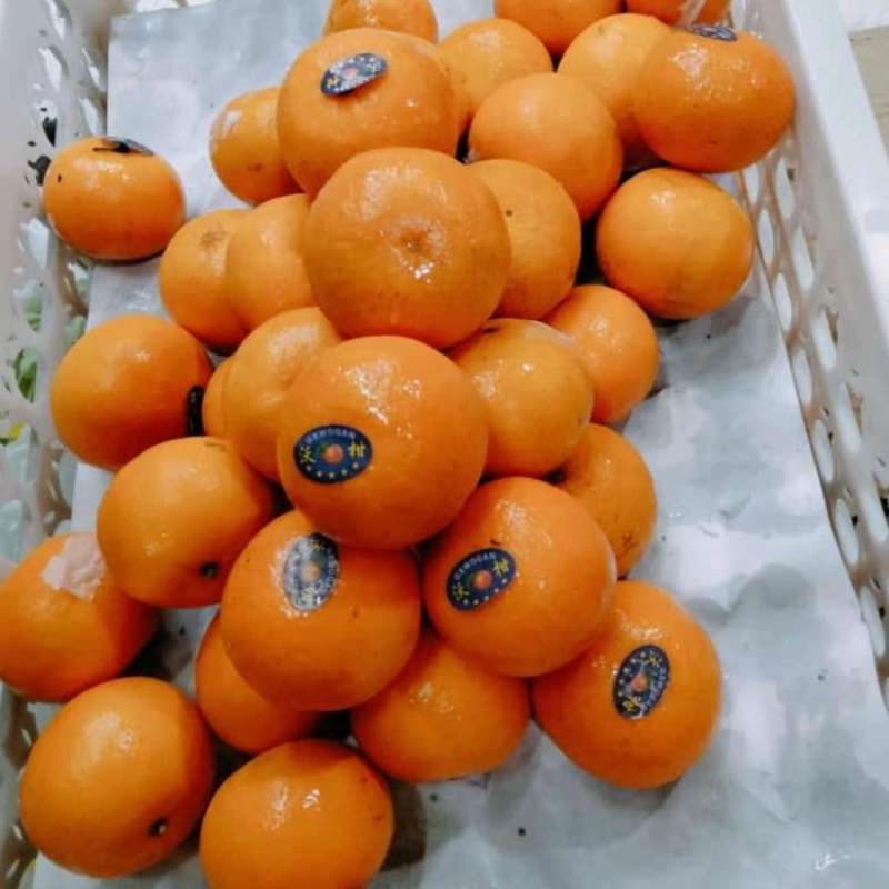 Jual JERUK MANDARIN MURCOT PREMIUM 1KG di Seller Vifarm Market ...