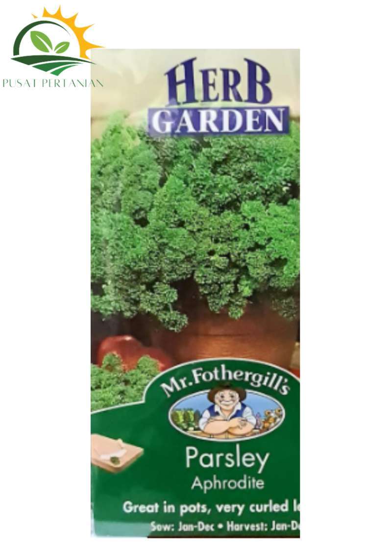 Jual PARSLEY APHRODITE PACK ISI 500 BIJI benih bibit Herbal Parsley ...
