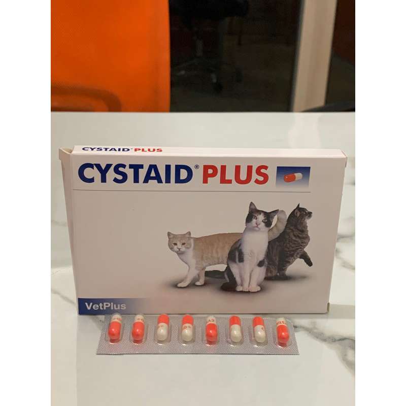 Jual CYSTAID CAT PLUS harga per kapsul - Suplemen Saluran Kencing ...