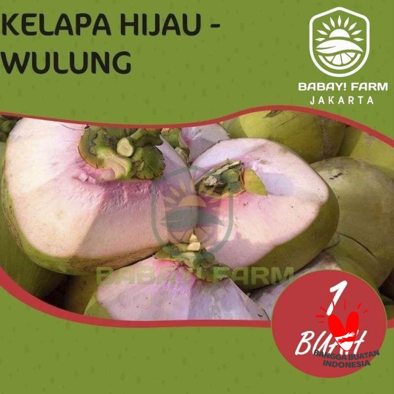 Promo Buah Kelapa Muda Hijau Wulung / Degan Ijo Herbal Utuh Diskon 15% ...