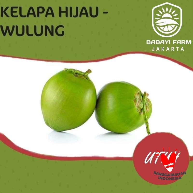 Kelapa Hijau Wulung Hijau Gratis Ongkir 🔥 Harga Murah April 2025
