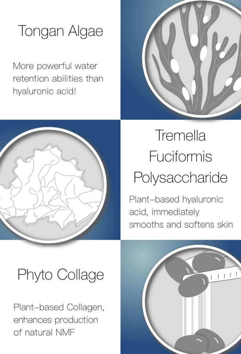 Jual Akimia - Electrovepo Pro Series - Microcurrent Sheet Mask Di ...