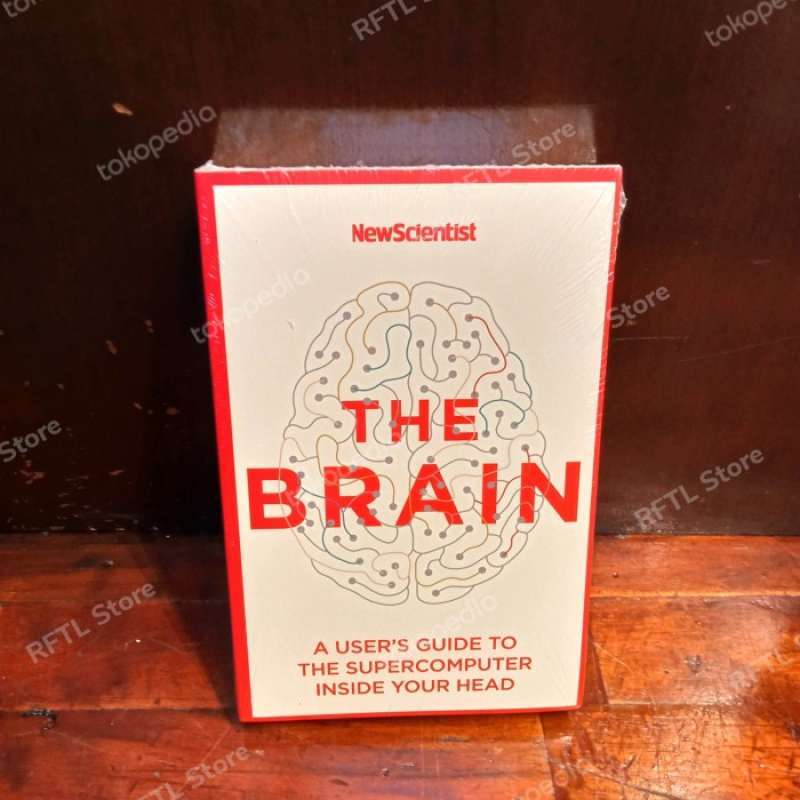 Promo Book Import - The Brain: Everything You Need to Know Diskon 23% ...