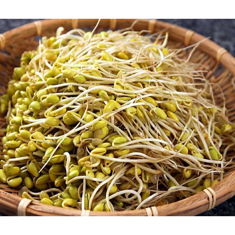 Jual Tauge / Toge / Taoge Kedelai / Kedele / Dele / Ale / Masak Mudah ...