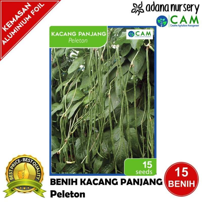 Promo Benih / Biji Kacang Panjang - Peleton - Berkualitas - Repack 15 ...