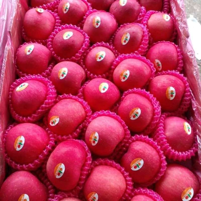 Jual Apel Fuji Premium Buah Segar Halal di Seller buahsegar 99 - Jaka ...