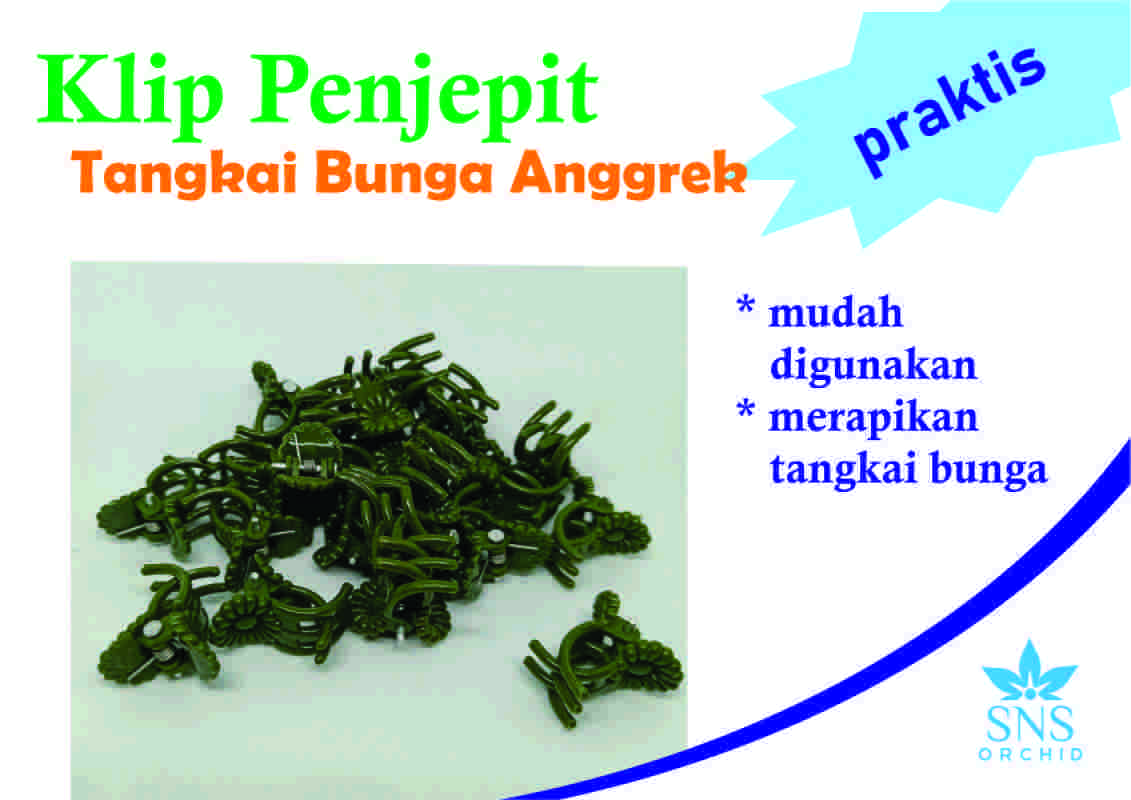 Jual Klip Penjepit Tanaman Tangkai Bunga Anggrek Bulan Kawat Penopang ...