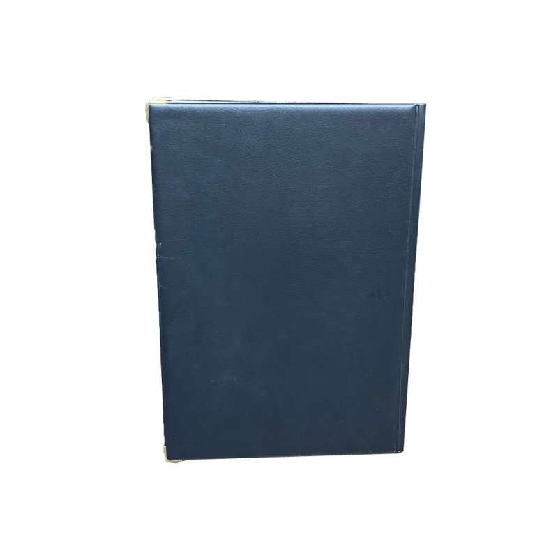 Jual Bambi Map Rapot /map Report A4 Foly 2 Warna Kanting Sisipan (pre ...