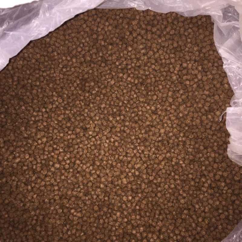 Jual Pelet Ikan Lele - Eko Feed 3 di Seller Toko Gacor - Kota Jakarta ...