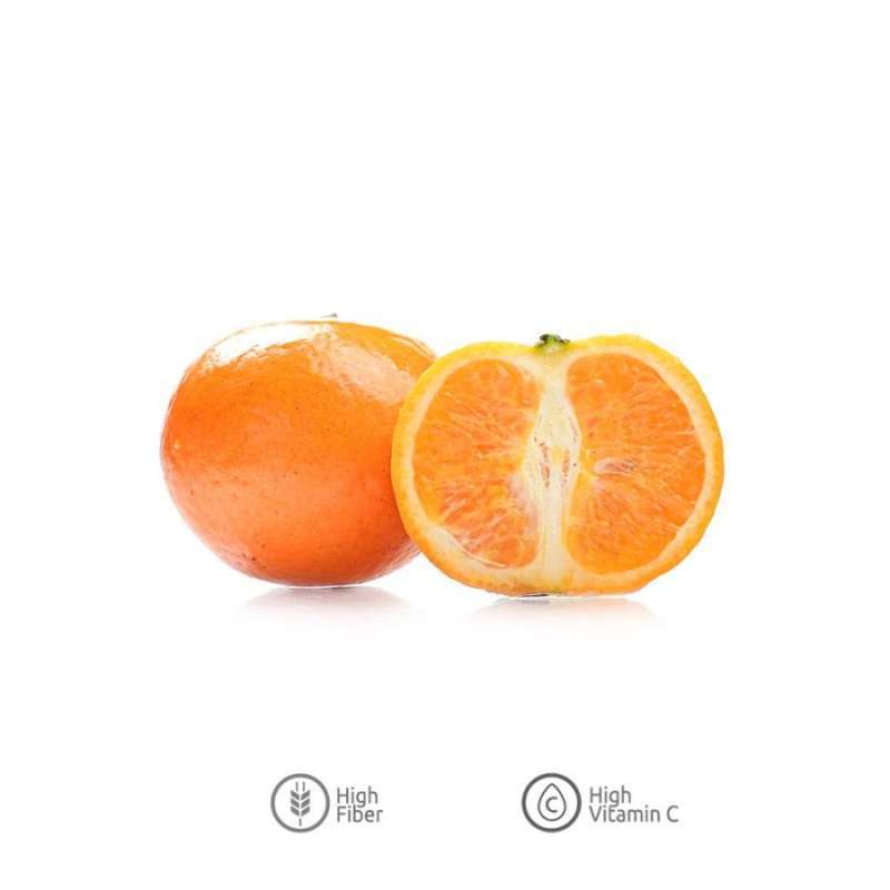 Jual Jeruk Wogan Mandarin Harga Grosir Juli 2024 - Blibli