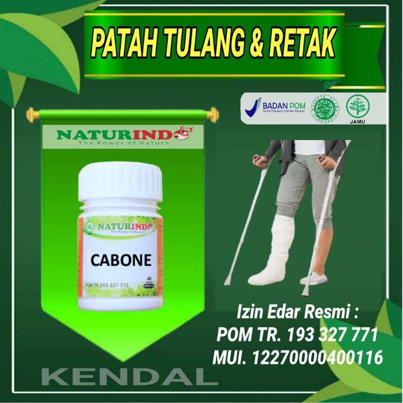 Jual OBAT PATAH TULANG DAN RETAK HERBAL AMPUH PENYAMBUNG PEREKAT TULANG ...
