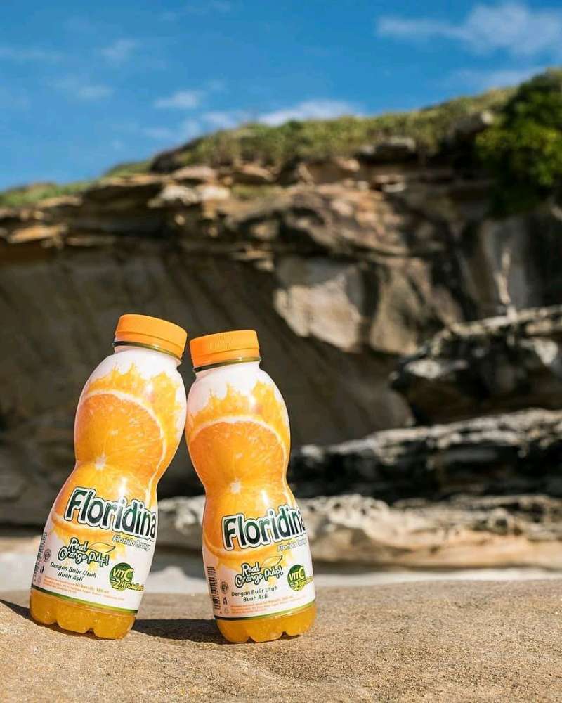 Jual Floridina Florida Orange Minuman Floridina Botol 350ml Di Seller ...