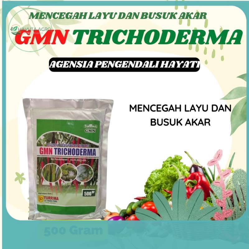 Promo gmn trichoderma, Pupuk Jamur Trichoderma harzianum pupuk GMN ...