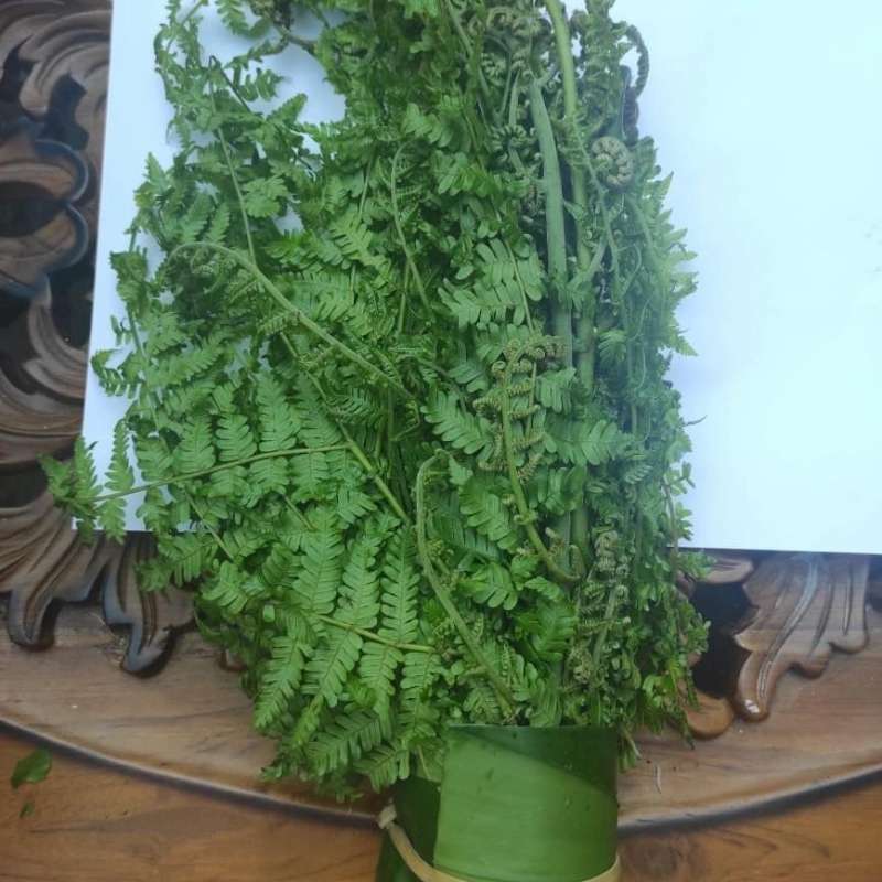 Jual Sayur Pakis Murah - Harga Grosir Mei 2024 | Blibli