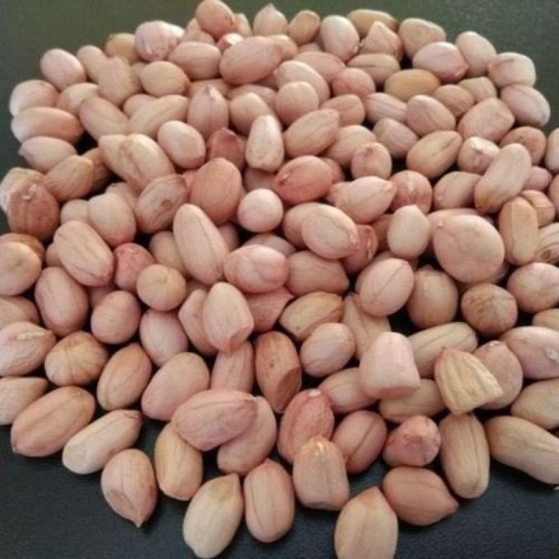 Jual Kacang Tanah 1 kg / Kacang Tanah Bersih / Kacang Tanah India ...