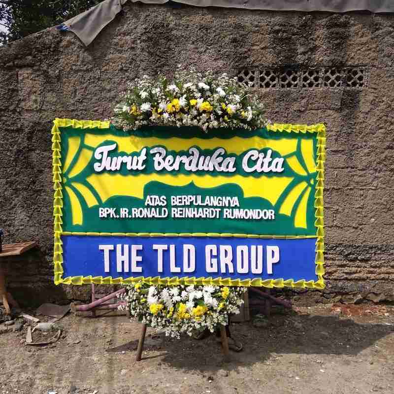 Jual Frozen Bunga Tanjung Terbaik Maret 2025 - Harga Murah & Gratis ...