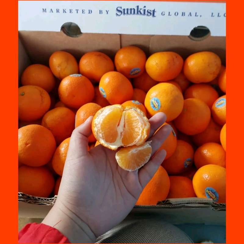 Jual buah jeruk kupas australi, jeruk mandarin aussie, buah impor ...