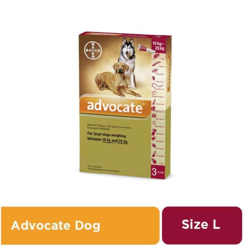 Jual Advocate Dog Large Obat Kutu Anjing Besar Tetes 10-25 KG Tube 2.5 ...