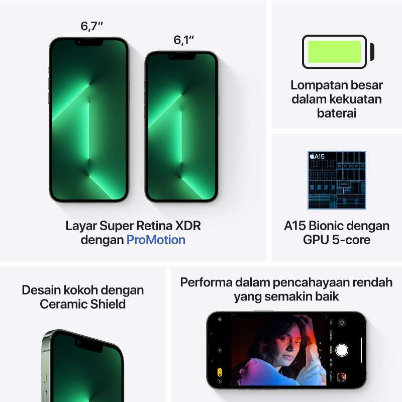 Jual iPhone 13 Pro Max - Alpine Green 128 GB Di Seller Blibli - Apple ...