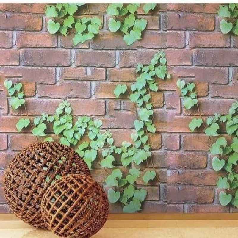 Jual Wallpaper Sticker Dinding Batu Bata Merah Daun Hijau di Seller phupastore - Pegadungan ...