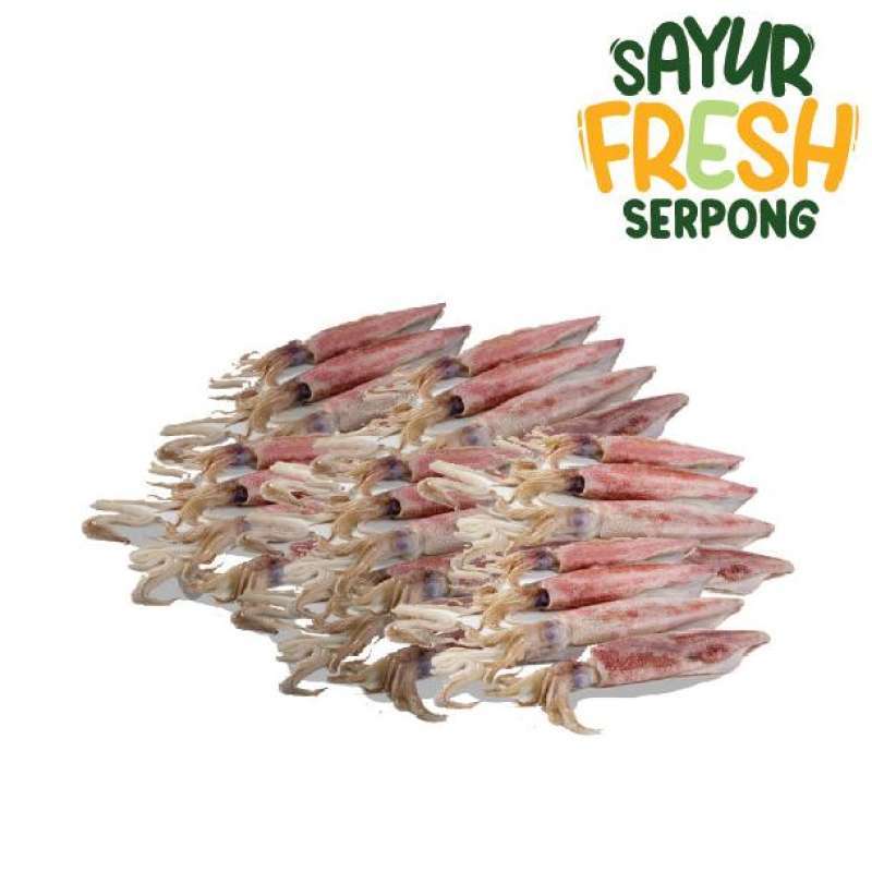 Jual Cumi Kecil - 500 Gram (15-18 Ekor) Halal di Seller SAYUR FRESH ...
