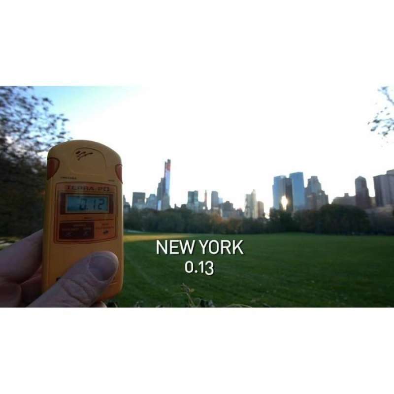 Jual Terra-p+ Plus Ecotest Dosimeter/radiometer/geiger Counter ...