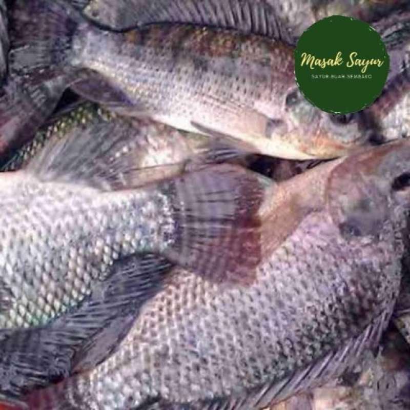 Jual Ikan Nila Bandung 1 Kg Sekilo Isi 6-8 Halal Di Seller Masak Sayur ...