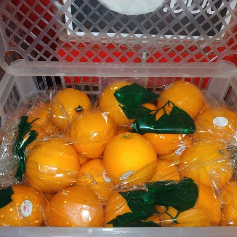 Jual Jeruk Navel RRC 1 kg Halal di Seller Happy Fruit Jakarta - Meruya ...