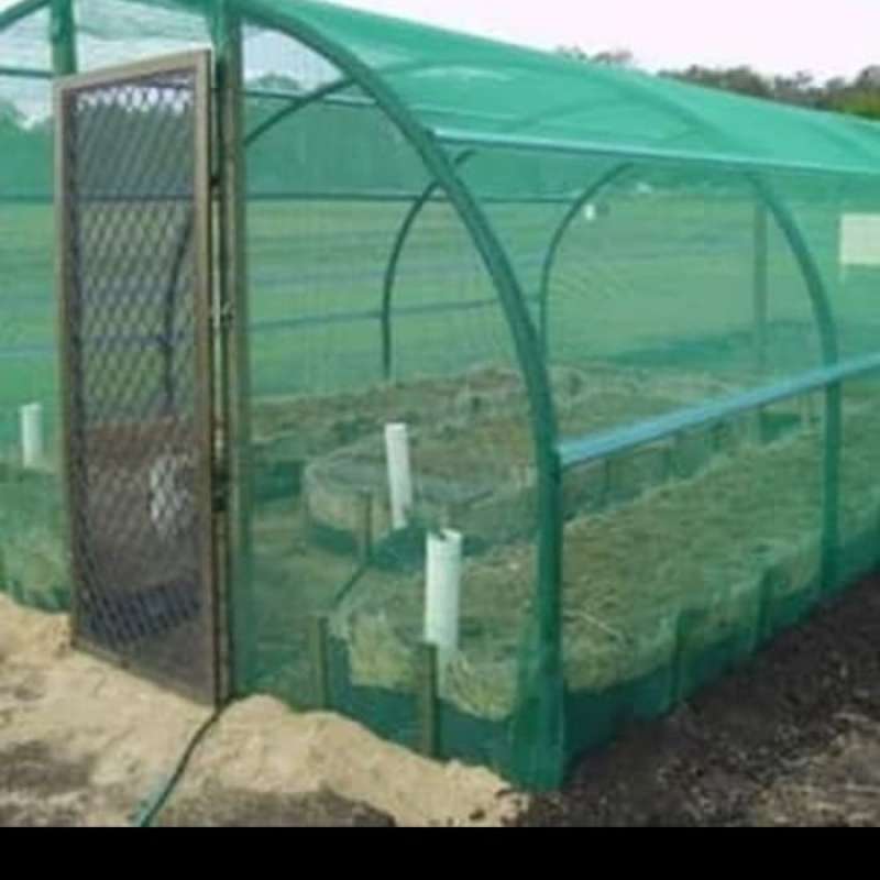 Promo Insectnet Hijau Lebar 2 M,jaring Tanaman,jaring Hama,green House ...