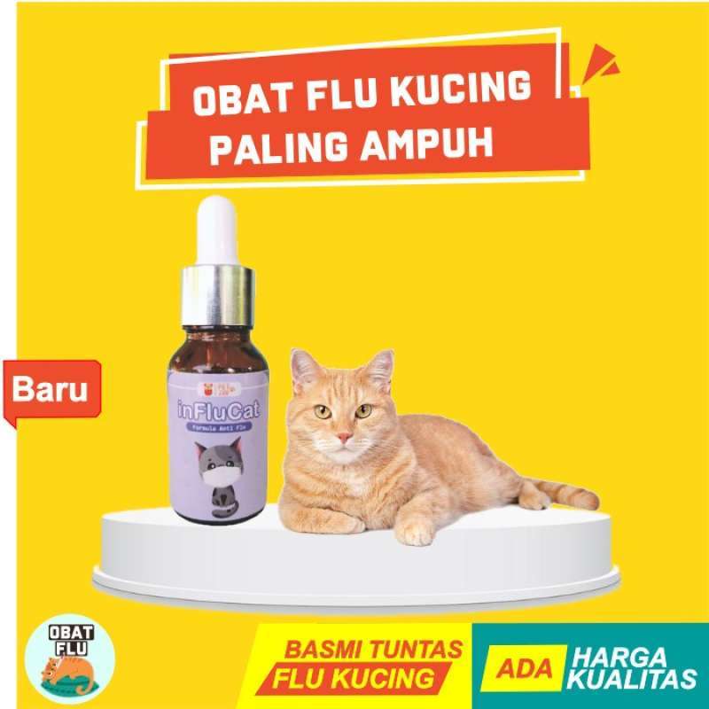 Promo OBAT FLU DAN BATUK KUCING INFLUCAT - 15 ml Diskon 50% di Seller ...