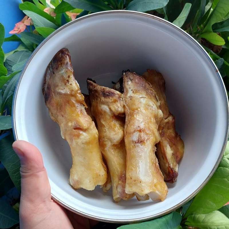 Jual Cow Hoof Sole Bone | Tulang Telapak Kaki Sapi Dog Treat Snack ...