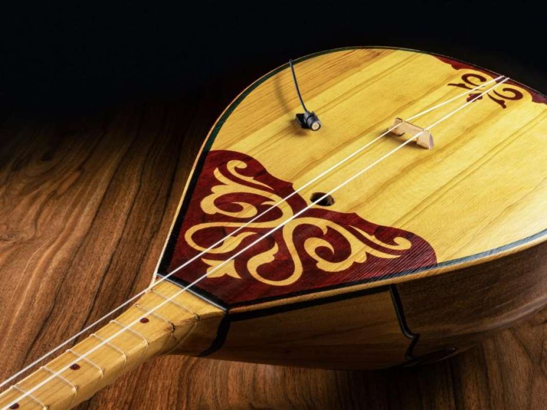 Jual Mic Instrumen Seruni Microphone Clp02 - Biola, Gitar, Violin Di ...