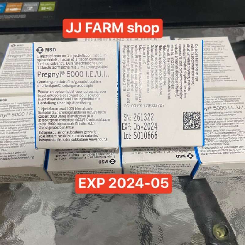Promo PREGNYL 5000 IU HCG BELGIA HORMON PCT TERAPI jos kontes dll ...