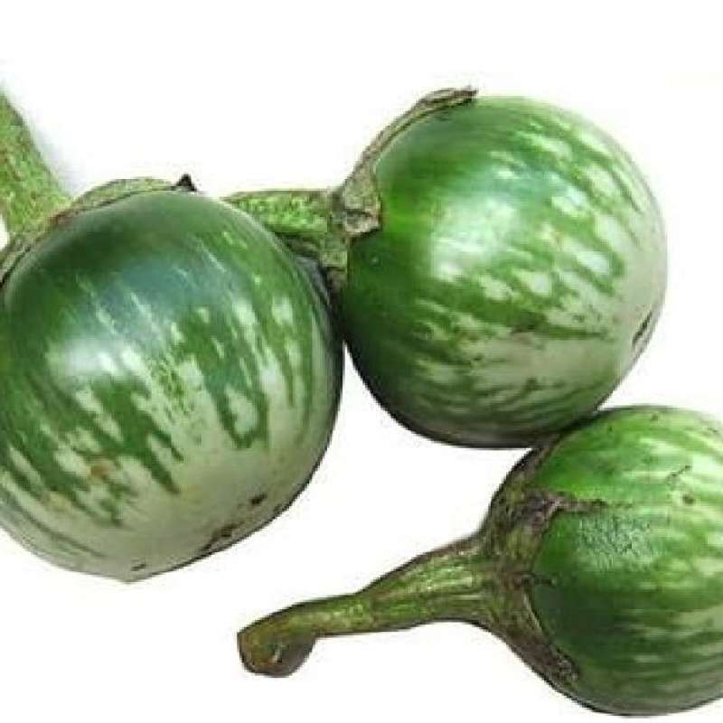 Jual Terong Bulat Terong Lalab 100Gr di Seller Sayur_Caringin_Bandung ...