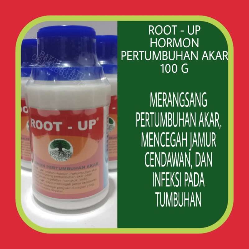 Promo Hormon Pertumbuhan Akar Root Up - Hormon Akar / Root - Up / Obat ...
