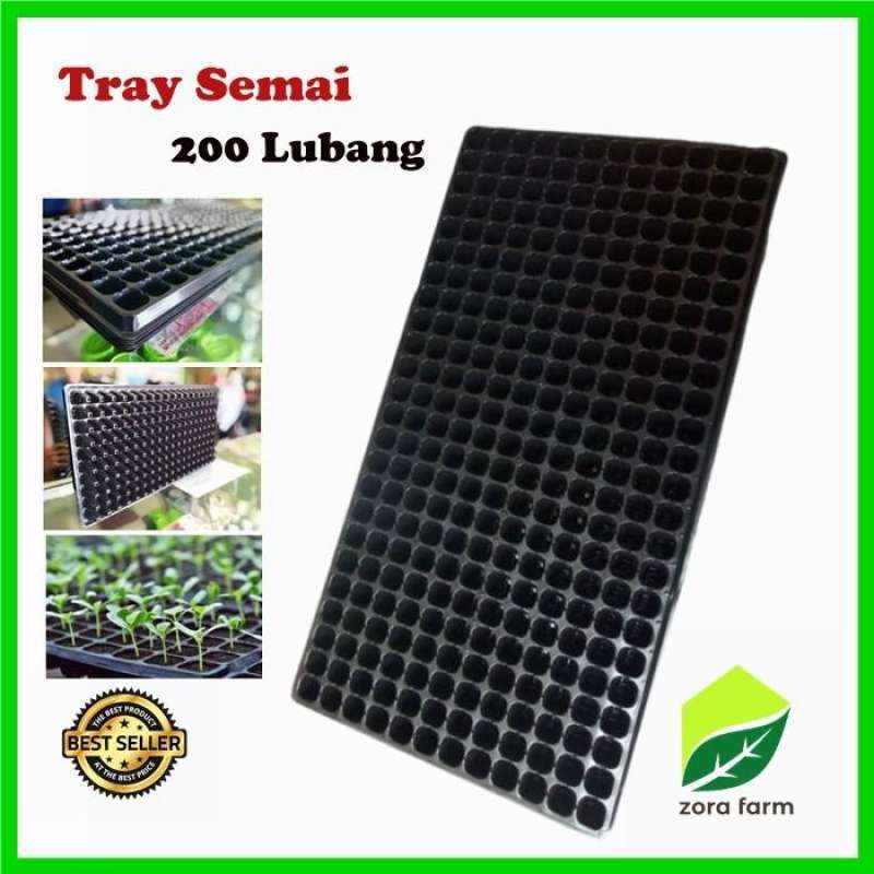 Jual Tray semai pot tray penyemaian bibit benih tanaman 200 lubang di ...