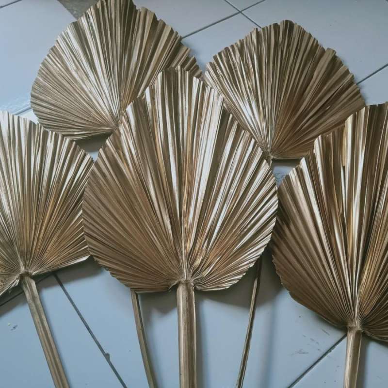 Jual Daun Palm Palem Kering Gold Emas Rustik Untuk Dekorasi Akad ...