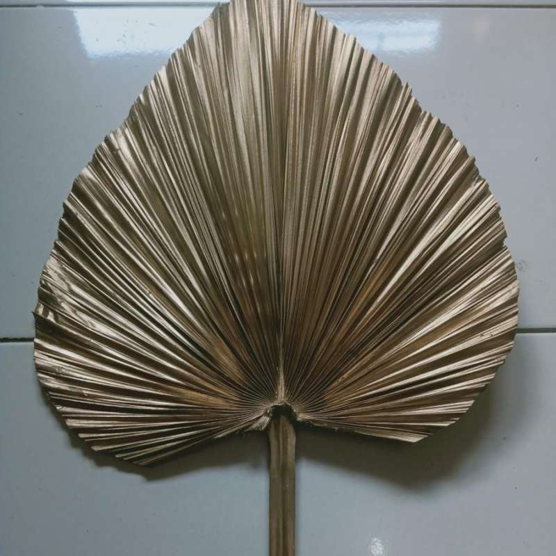 Jual Daun Palm Palem Kering Gold Emas Rustik Untuk Dekorasi Akad ...