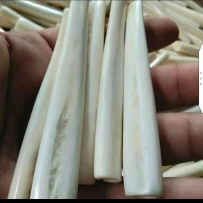 Jual pipa cangklong tulang sapi polos di Seller Koleksibertuah1 ...