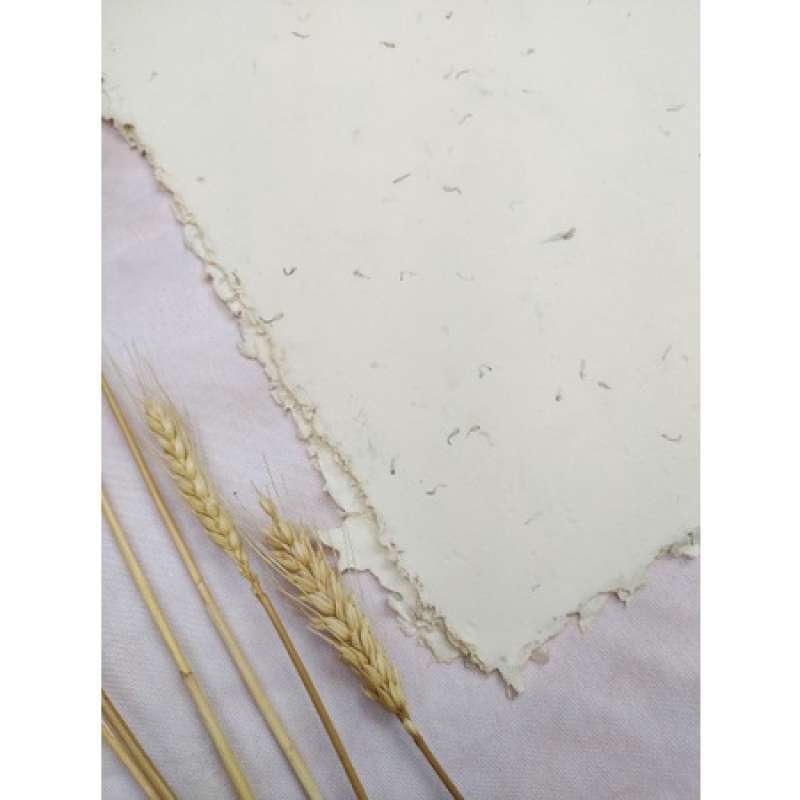 Jual Seed Paper- Kertas benih- 150 gsm and 280 gsm - print quality ...